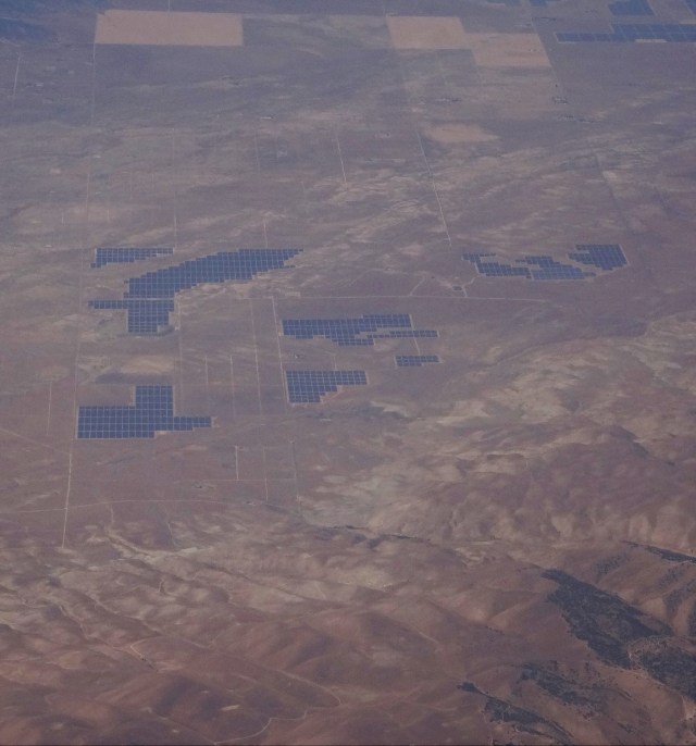 Solar arrays in the desert: Killing more birds than you imagine ...